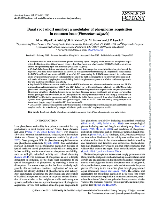 (PDF) Basal root whorl number: a modulator of phosphorus acquisition in ...