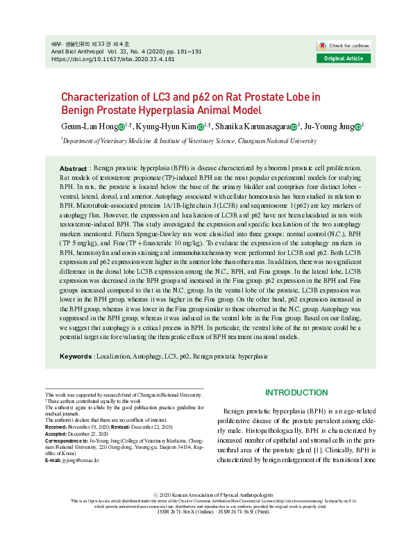 (PDF) Characterization of LC3 and p62 on Rat Prostate Lobe in Benign ...