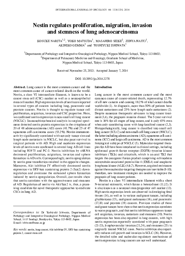 (PDF) Nestin regulates proliferation, migration, invasion and stemness ...