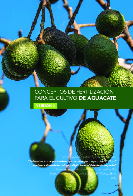 (PDF) Conceptos de fertilización para el cultivo de aguacate
