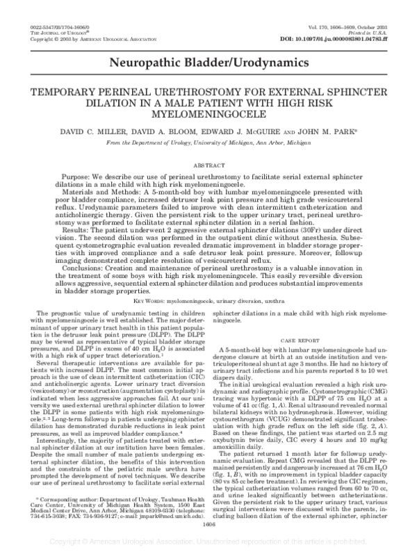 (PDF) Temporary Perineal Urethrostomy for External Sphincter Dilation ...