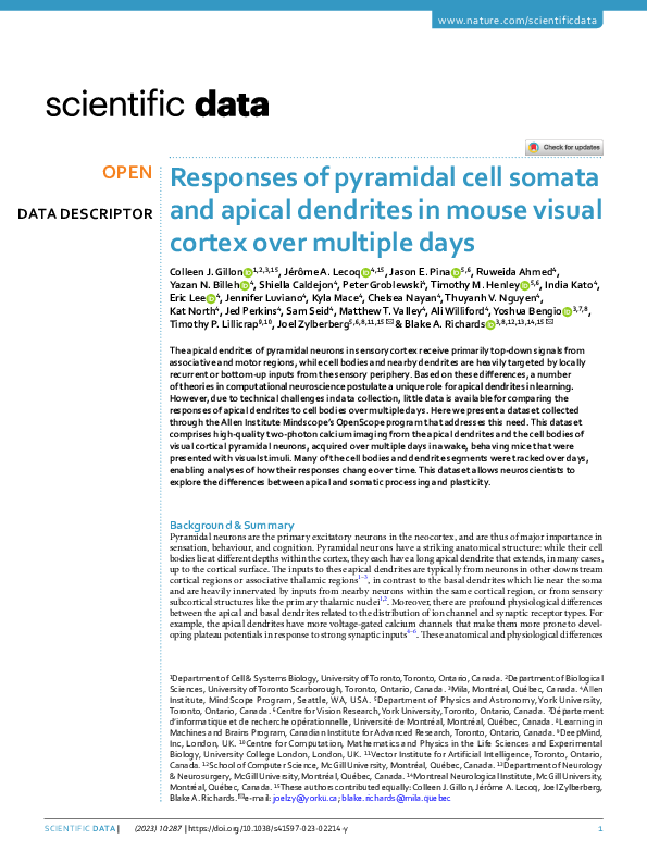 (PDF) Responses of pyramidal cell somata and apical dendrites in mouse ...