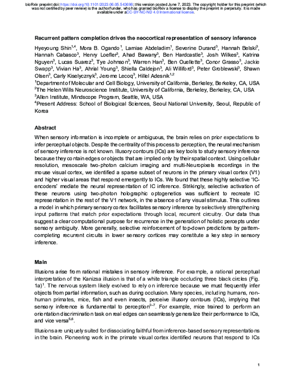 (PDF) Recurrent pattern completion drives the neocortical representation of sensory inference