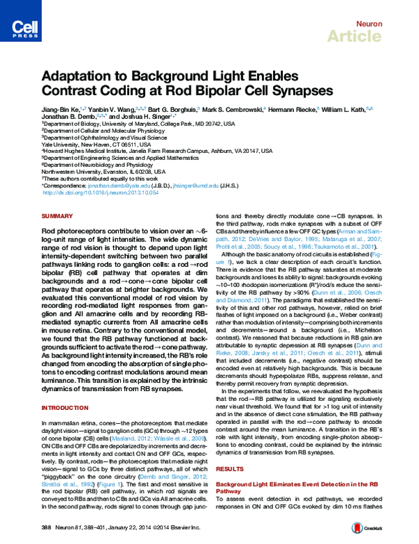 (PDF) Adaptation to Background Light Enables Contrast Coding at Rod ...