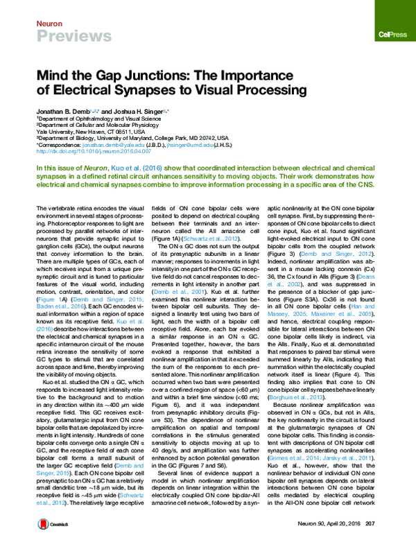 (PDF) Mind the Gap Junctions: The Importance of Electrical Synapses to Visual Processing