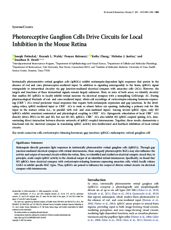 (PDF) Photoreceptive Ganglion Cells Drive Circuits for Local Inhibition ...