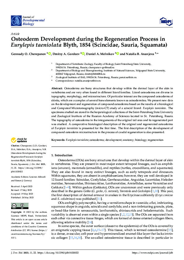 (PDF) Osteoderm Development during the Regeneration Process in ...