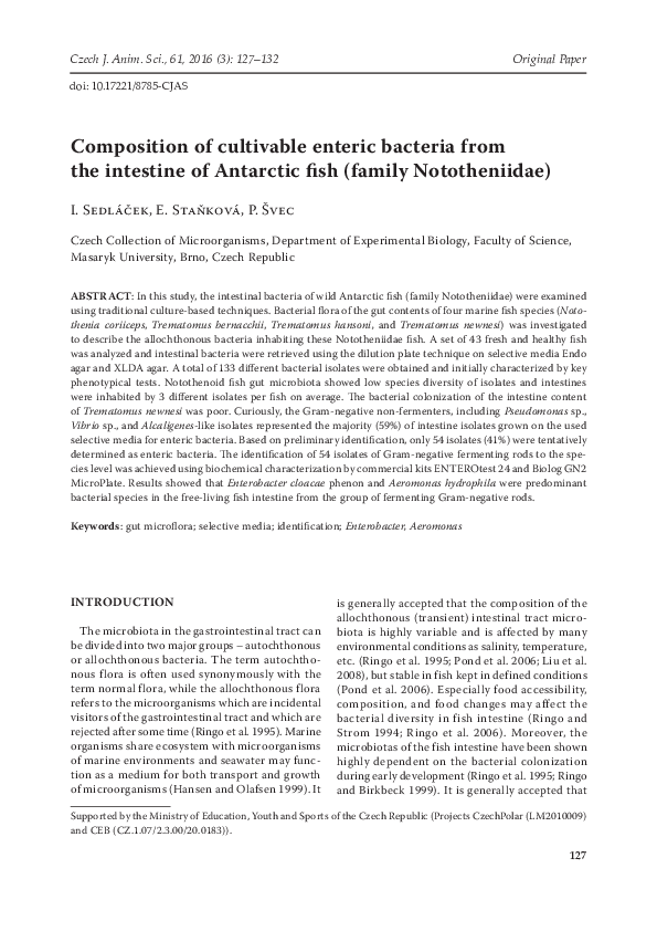 (PDF) Composition of cultivable enteric bacteria from the intestine of ...