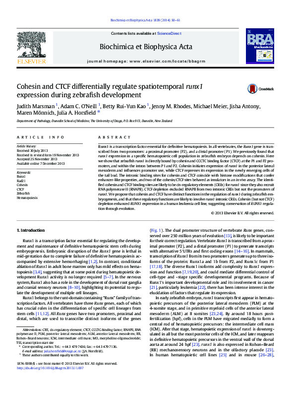 (PDF) Cohesin and CTCF differentially regulate spatiotemporal runx1 expression during zebrafish ...