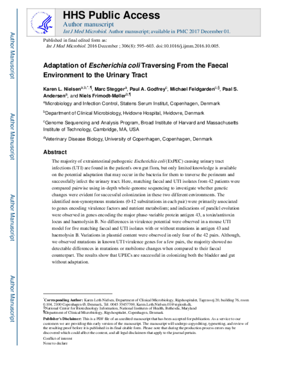 (PDF) Adaptation of Escherichia coli traversing from the faecal ...
