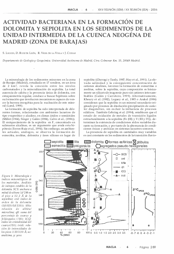 (PDF) Actividad bacteriana en la formación de dolomita y sepiolita en ...