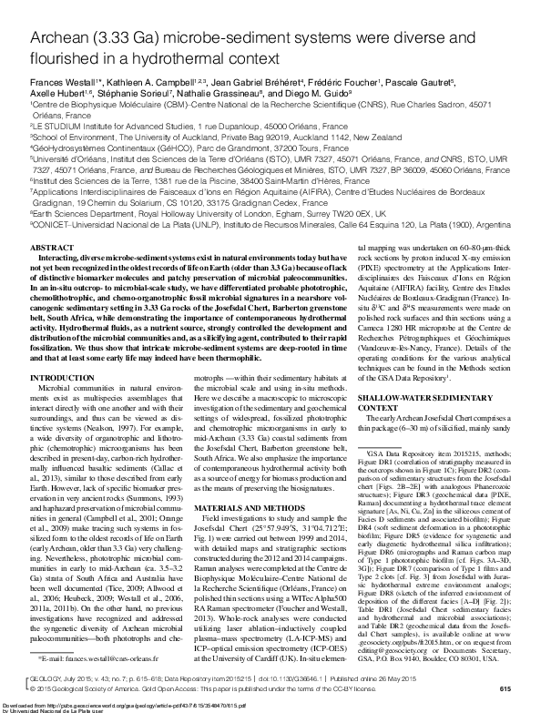 (PDF) Archean (3.33 Ga) microbe-sediment systems were diverse and ...