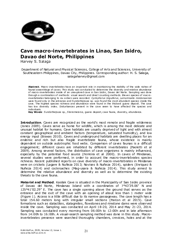 (PDF) Diversity of Cave Macro-invertebrates in Davao
