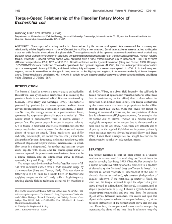 (PDF) Torque-Speed Relationship of the Flagellar Rotary Motor of ...