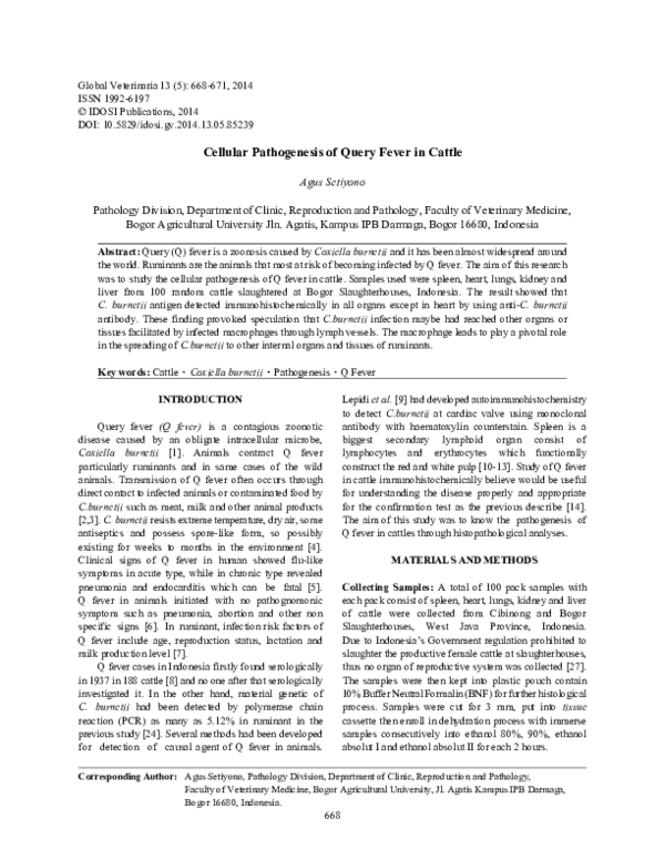 (PDF) Cellular pathogenesis of query fever in cattle