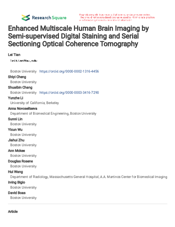 (PDF) Multiscale Human Brain Imaging Using Semi-supervised OCT