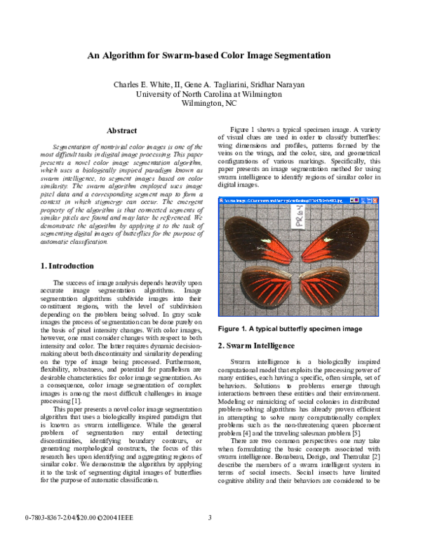 (PDF) An Algorithm for Swarm-based Color Image Segmentation