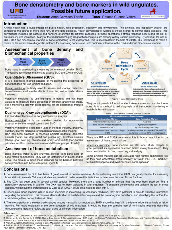 (PDF) Bone densitometry and bone markers in wild ungulates. Possible ...