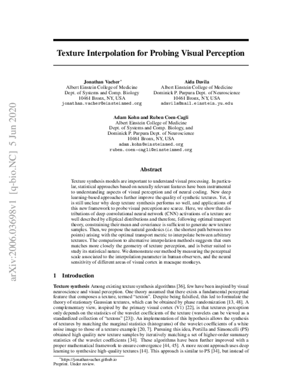 (PDF) Texture Interpolation for Probing Visual Perception