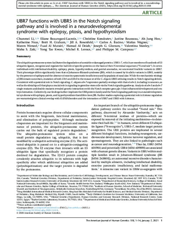 (PDF) UBR7 functions with UBR5 in the Notch signaling pathway and is ...