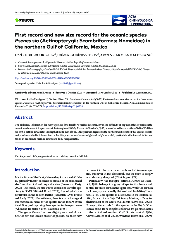(PDF) First record and new size record for the oceanic species Psenes ...
