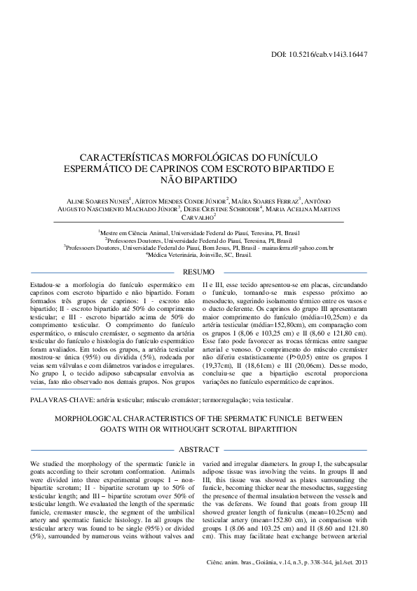 (PDF) Características Morfológicas Do Funículo Espermático De Caprinos ...