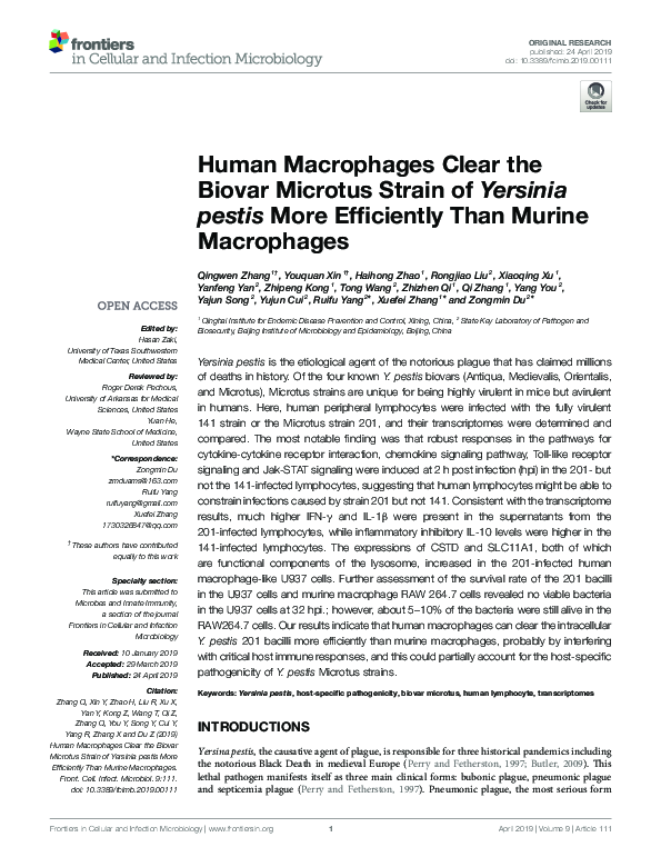 (PDF) Human Macrophages Clear the Biovar Microtus Strain of Yersinia ...