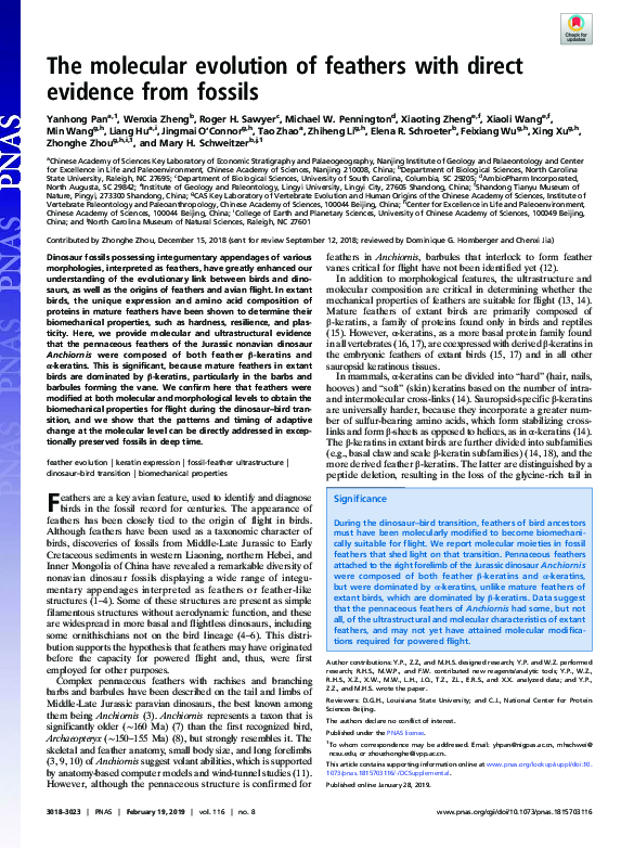 (PDF) The molecular evolution of feathers with direct evidence from fossils