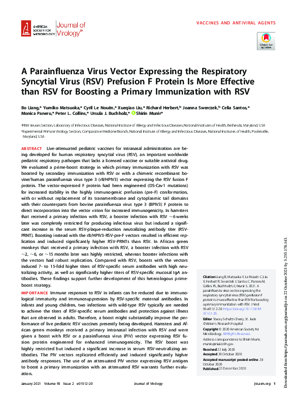 (PDF) A Parainfluenza Virus Vector Expressing the Respiratory Syncytial ...