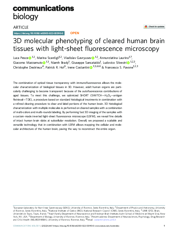 (PDF) 3D molecular phenotyping of cleared human brain tissues with ...