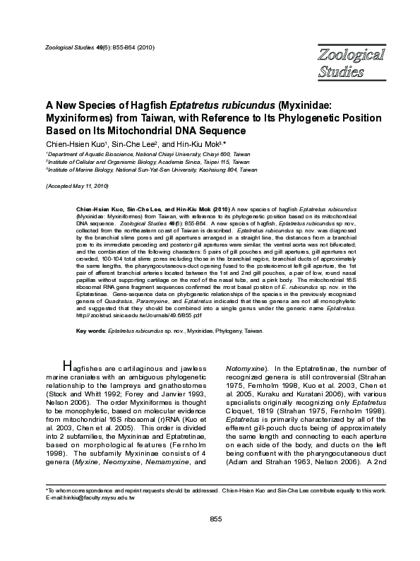 (PDF) A New Species of Hagfish Eptatretus rubicundus (Myxinidae ...
