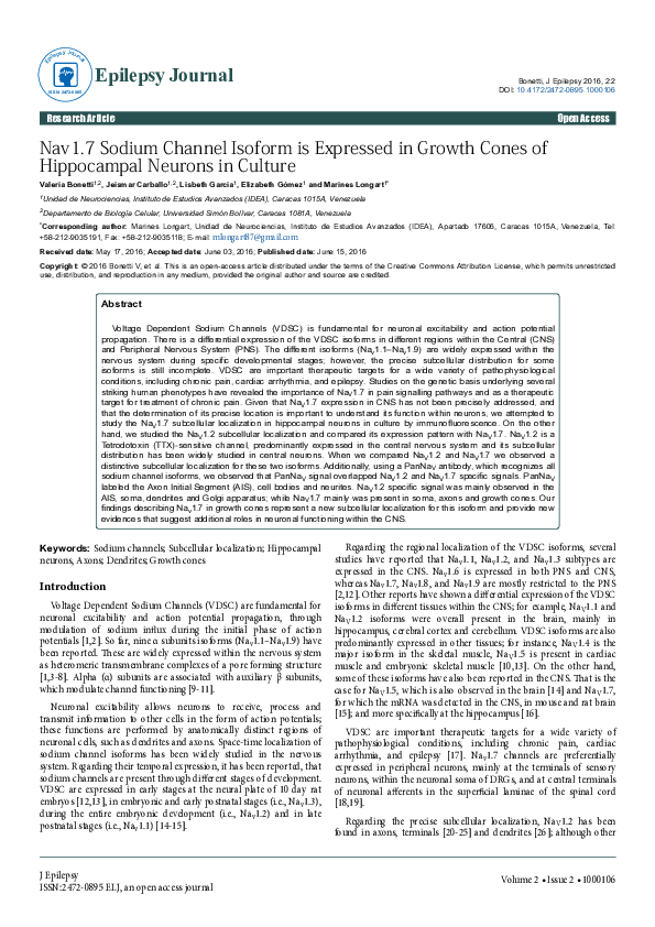 (PDF) Nav1.7 Sodium Channel Isoform is Expressed in Growth Cones of ...