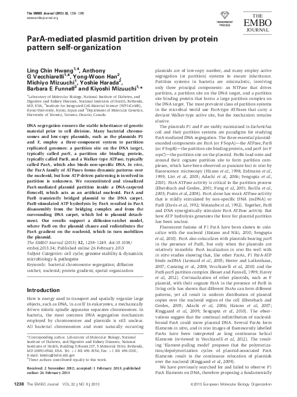 (PDF) ParA-mediated plasmid partition driven by protein pattern self ...