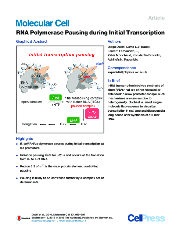 (PDF) RNA Polymerase Pausing during Initial Transcription