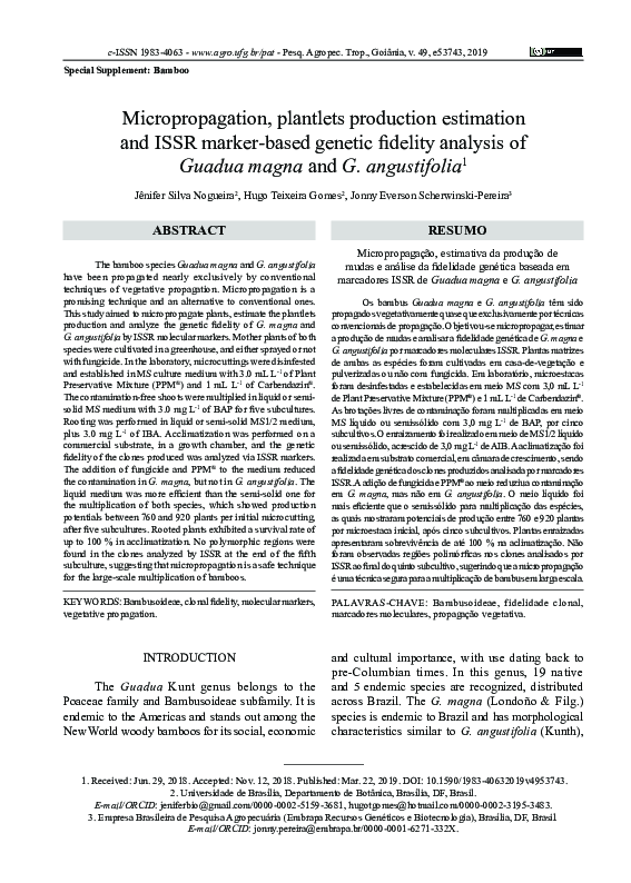 (PDF) Micropropagation, plantlets production estimation and ISSR marker-based genetic fidelity ...