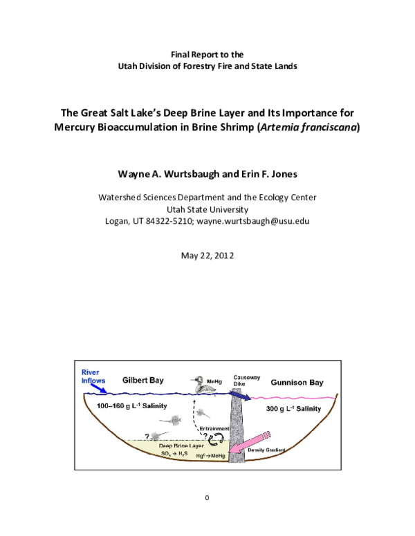 (PDF) The Great Salt Lake’s Deep Brine Layer and Its Importance for ...