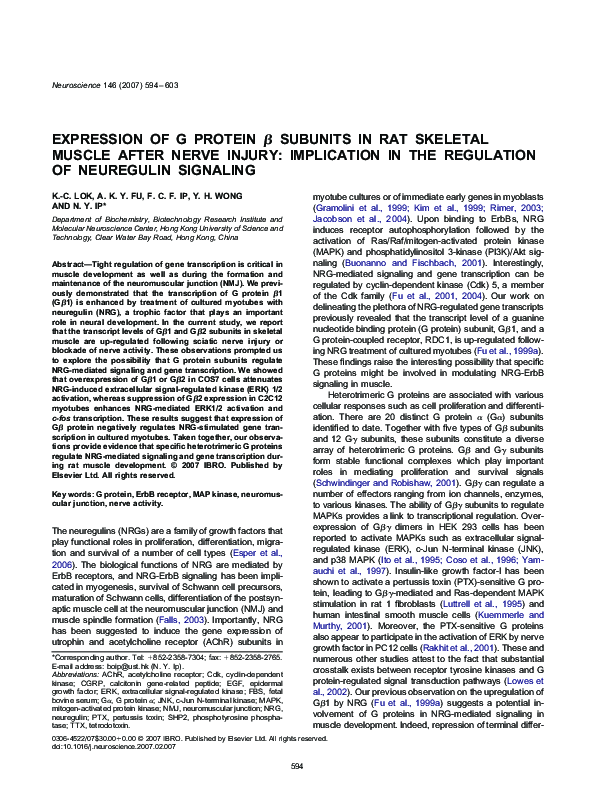 (PDF) Expression of G protein β subunits in rat skeletal muscle after ...