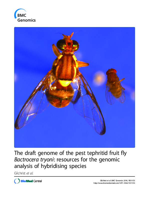 (PDF) The draft genome of the pest tephritid fruit fly Bactrocera ...