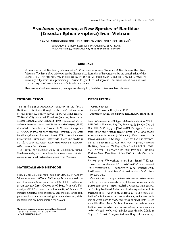 (PDF) Procloeon spinosum, a New Species of Baetidae (Insecta ...