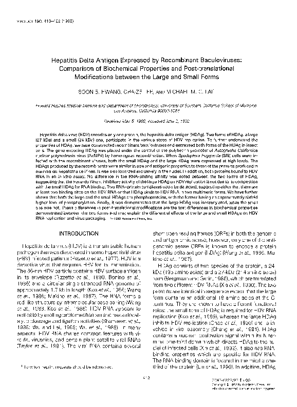 Pdf Hepatitis Delta Antigen Expressed By Recombinant Baculoviruses