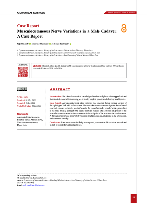 (PDF) Musculocutaneous Nerve Variations in a Male Cadaver: A Case Report