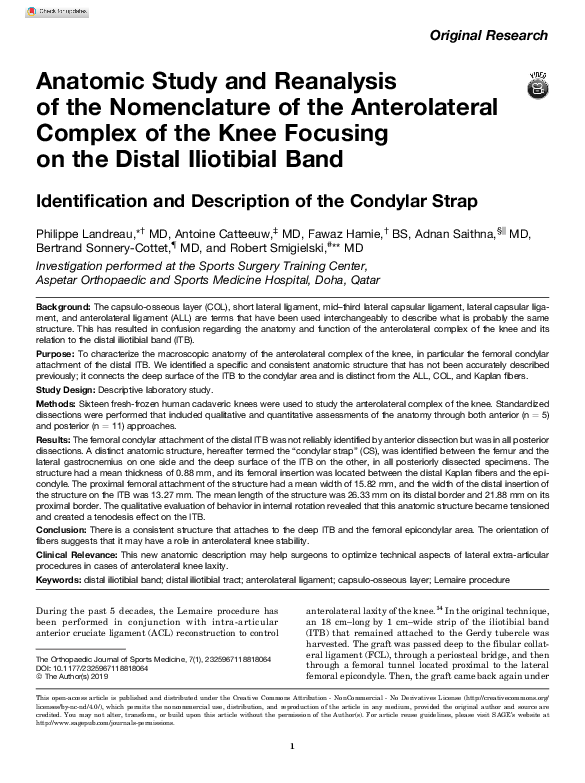 (PDF) Anatomic Study and Reanalysis of the Nomenclature of the ...