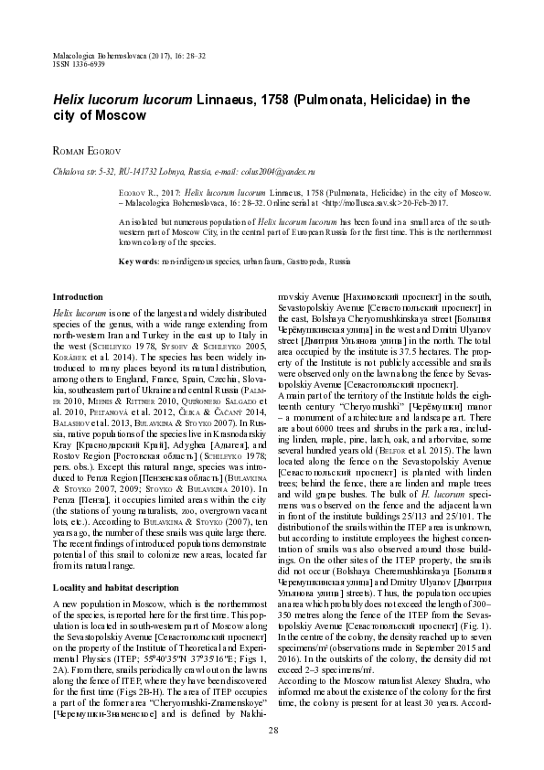 (PDF) Helix lucorum lucorum Linnaeus, 1758 (Pulmonata, Helicidae) in ...