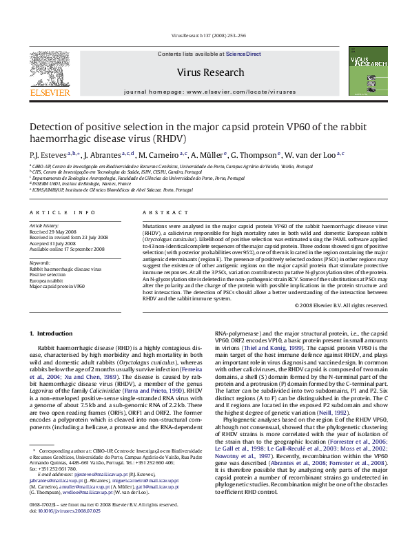 (PDF) Detection of positive selection in the major capsid protein VP60 ...