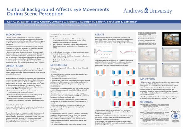 (PDF) Cultural Background Affects Eye Movements During Scene Perception