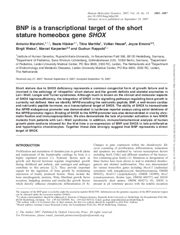 (PDF) BNP is a transcriptional target of the short stature homeobox ...