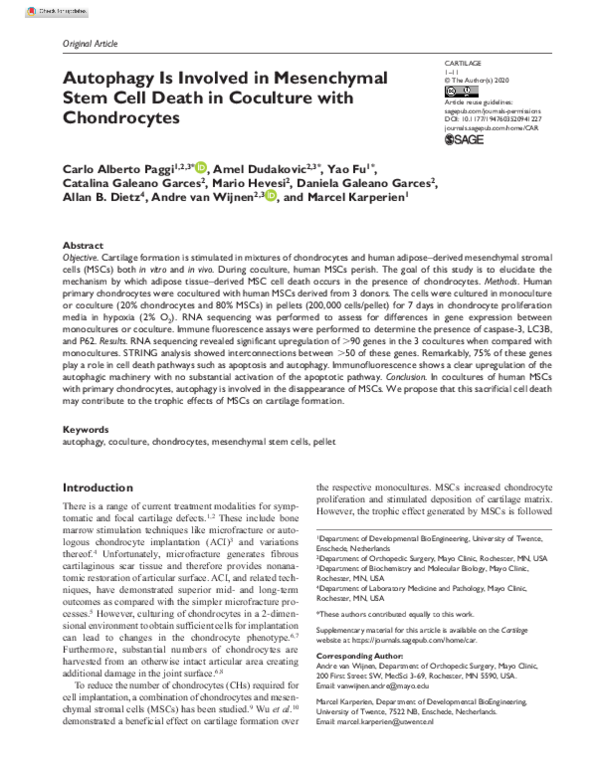 (PDF) Autophagy Is Involved in Mesenchymal Stem Cell Death in Coculture ...