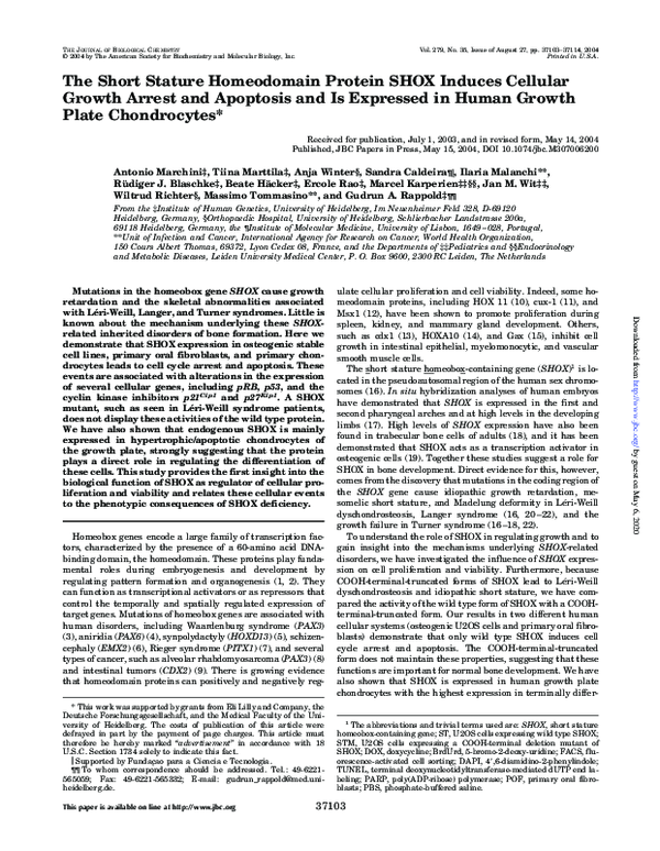 (PDF) The Short Stature Homeodomain Protein SHOX Induces Cellular ...