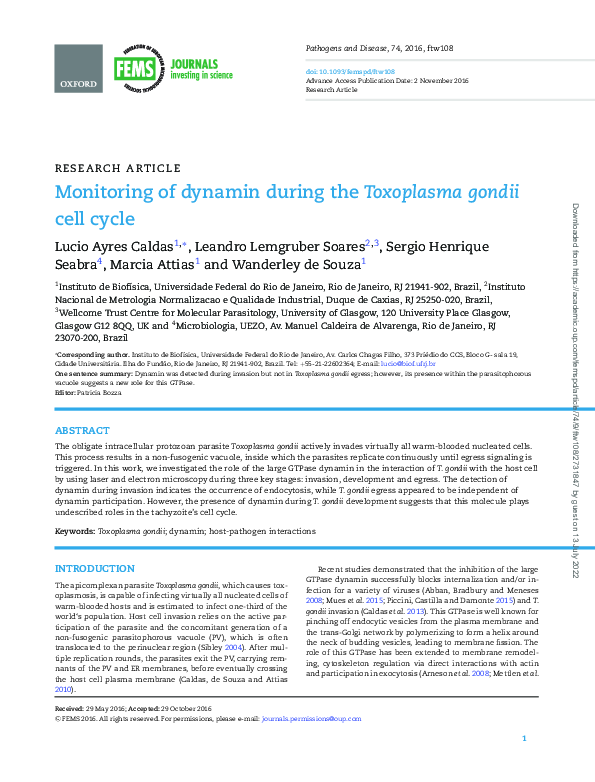 (PDF) Monitoring of dynamin during theToxoplasma gondiicell cycle