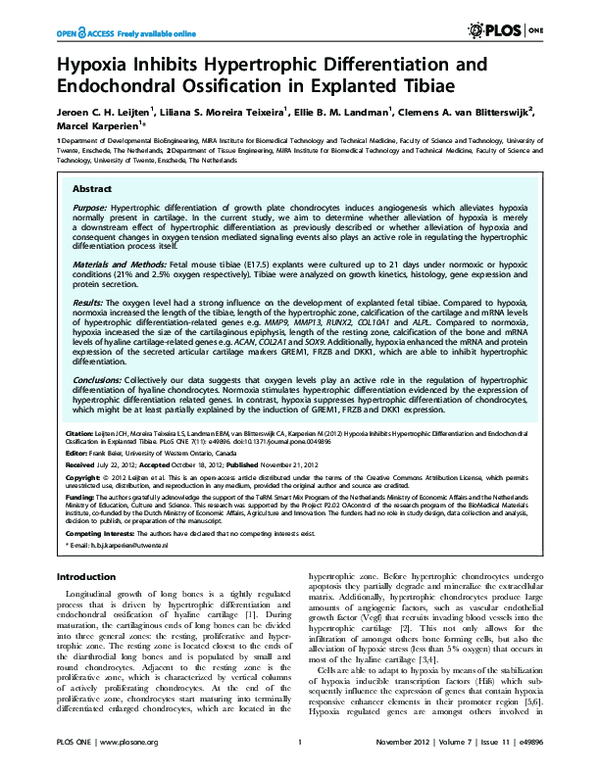 (PDF) Hypoxia Inhibits Hypertrophic Differentiation and Endochondral ...